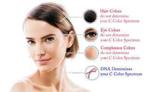 How C Color Helps You Uncover What Colors To Wear And Look Your Best